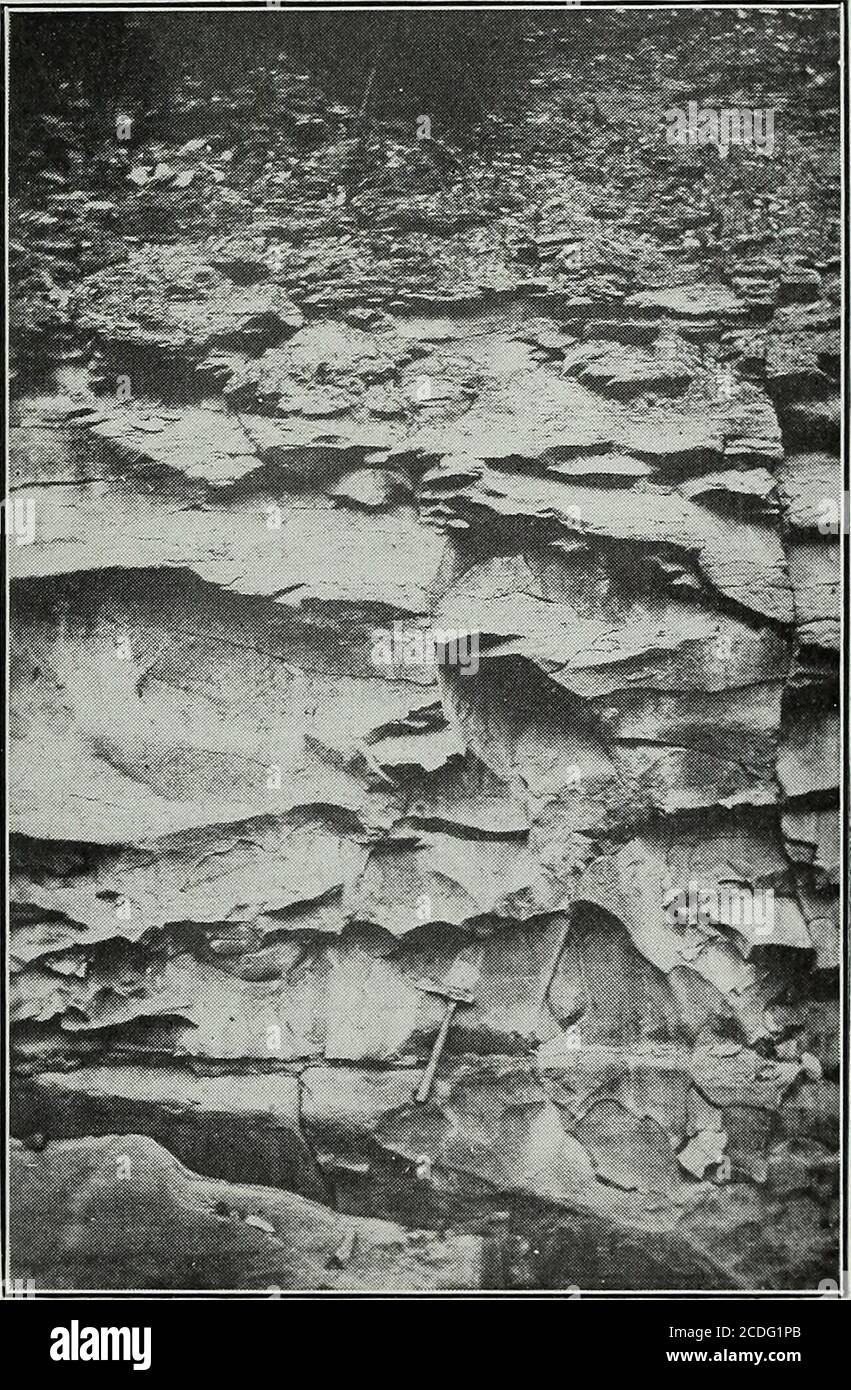 . Oil investigations in 1917 and 1918 . Cross-bedding in Salem ...