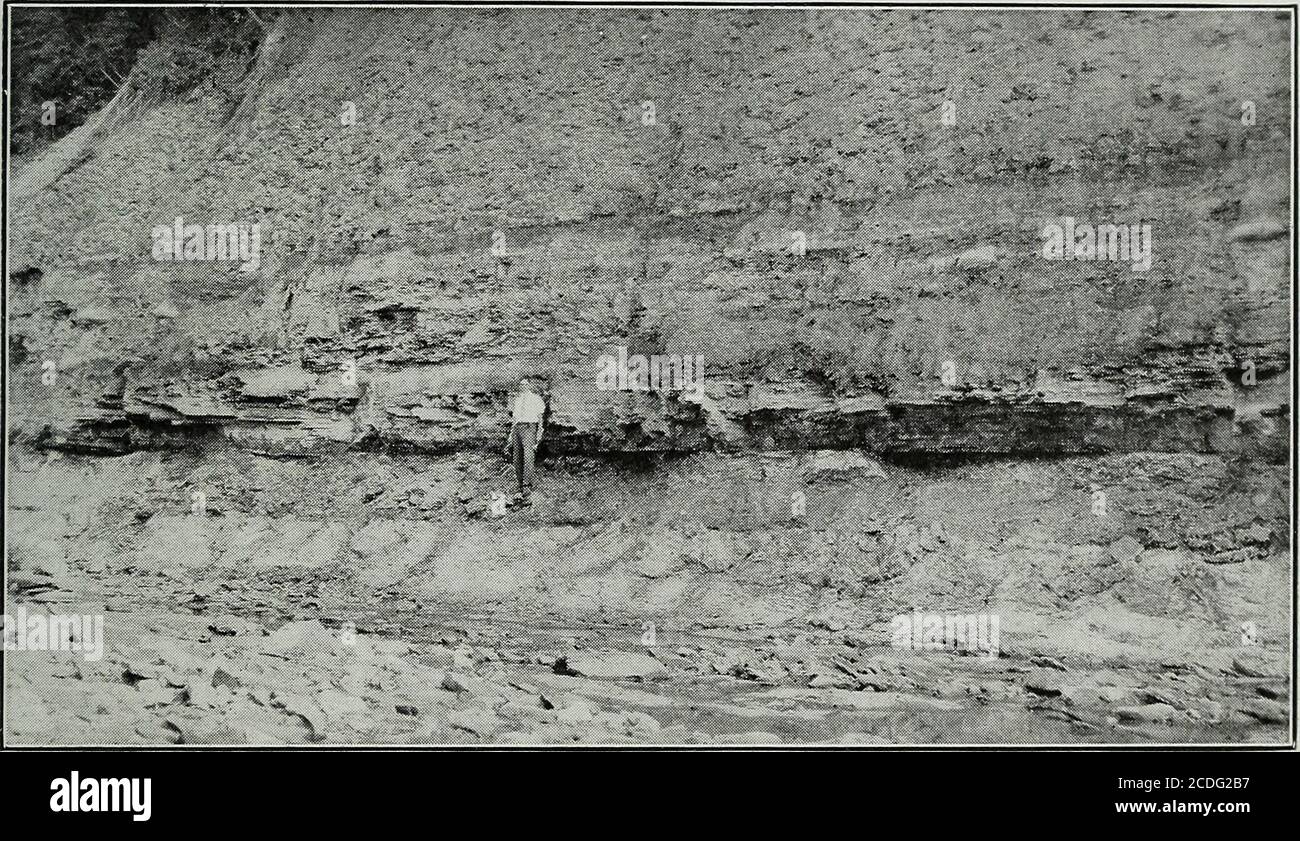 Oil shale stone hi-res stock photography and images - Alamy