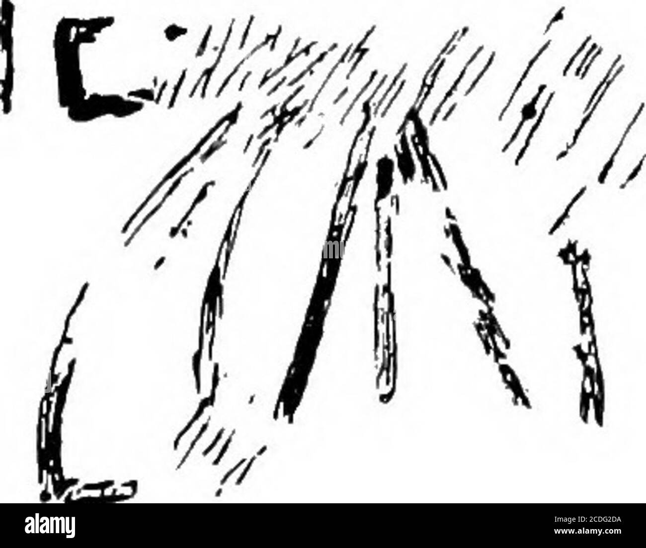 . The palace of Minos : a comparative account of the successive stages ...