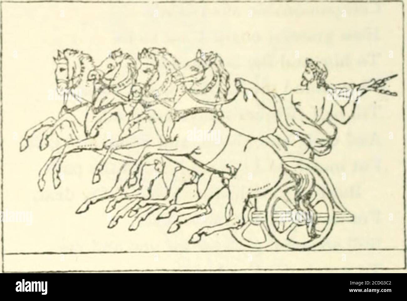 Noble snipe hi-res stock photography and images - Alamy