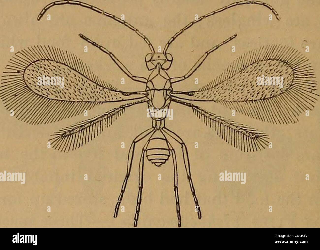 Femaleissues hi-res stock photography and images - Alamy