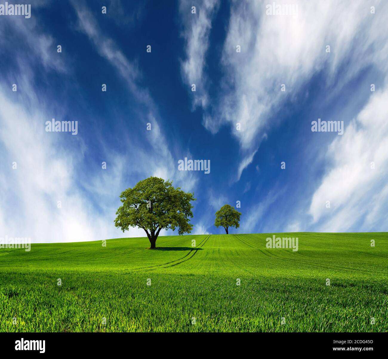 Great nature landscape Stock Photo - Alamy