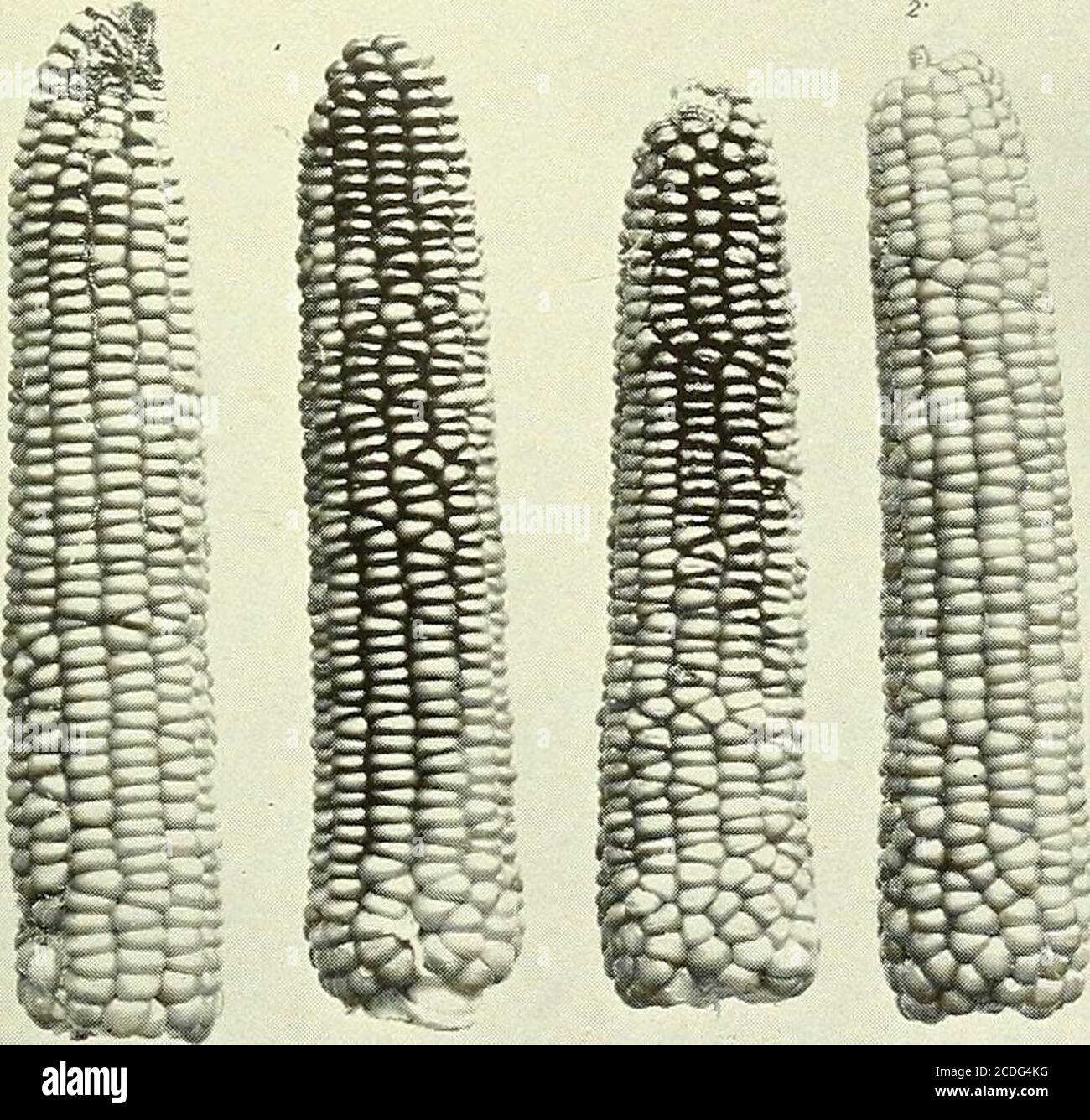 Noeffect hi-res stock photography and images - Alamy