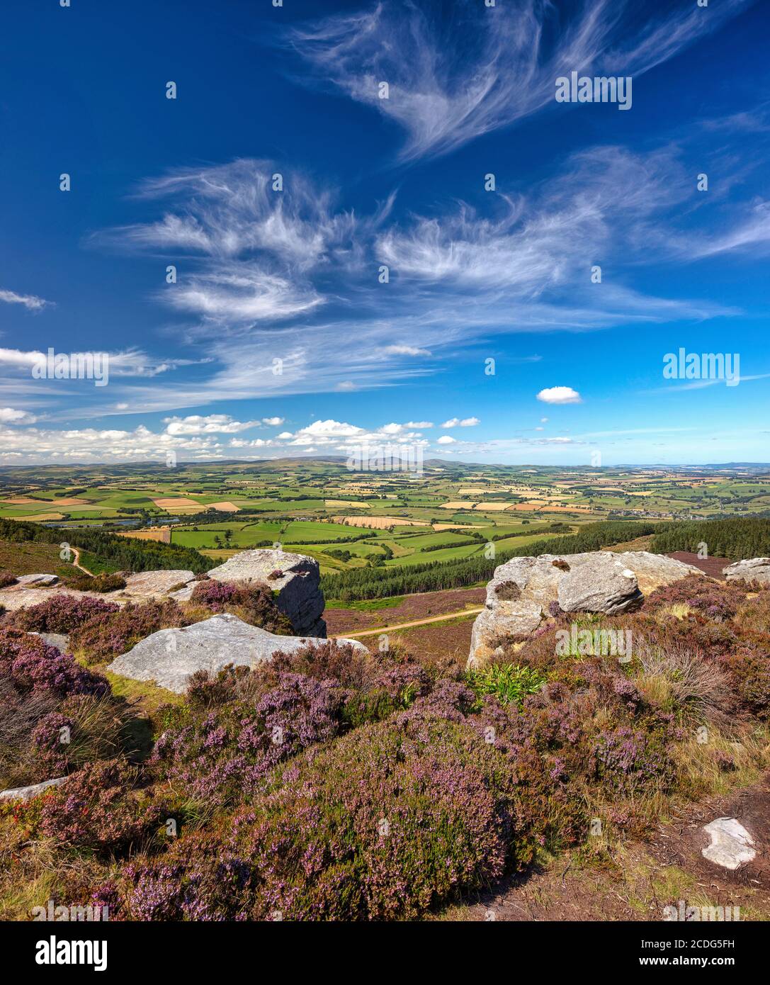 Rothbury estate hi-res stock photography and images - Alamy