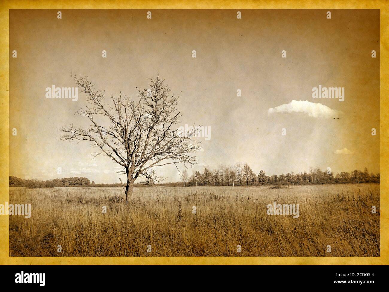 Aging themes hi-res stock photography and images - Alamy