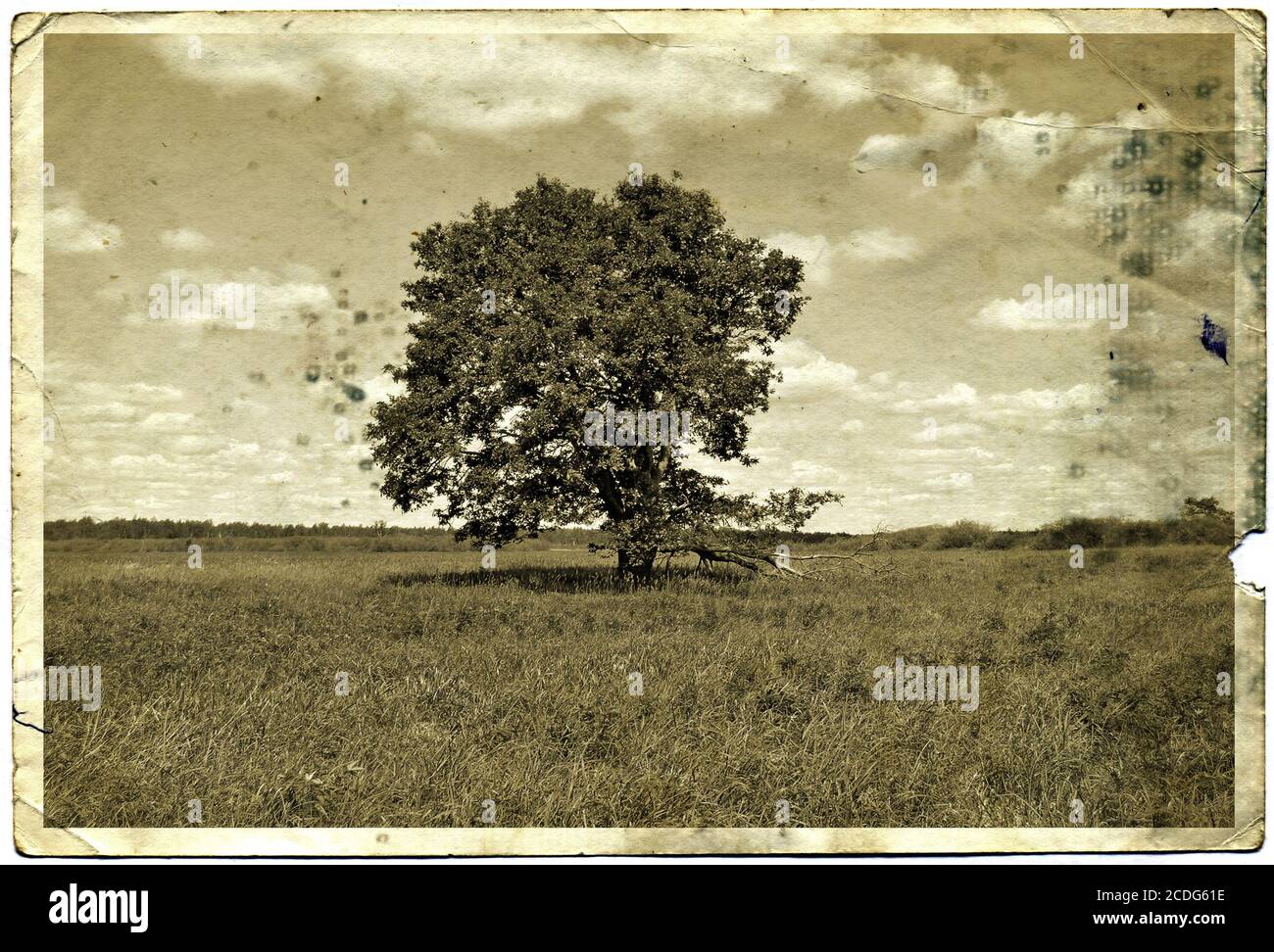 Aging themes hi-res stock photography and images - Alamy