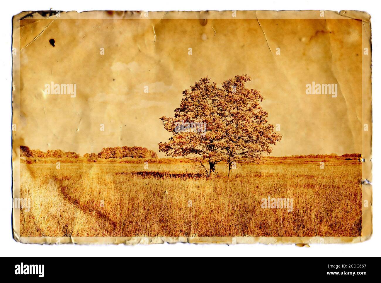 Autumn 1940 hi-res stock photography and images - Alamy