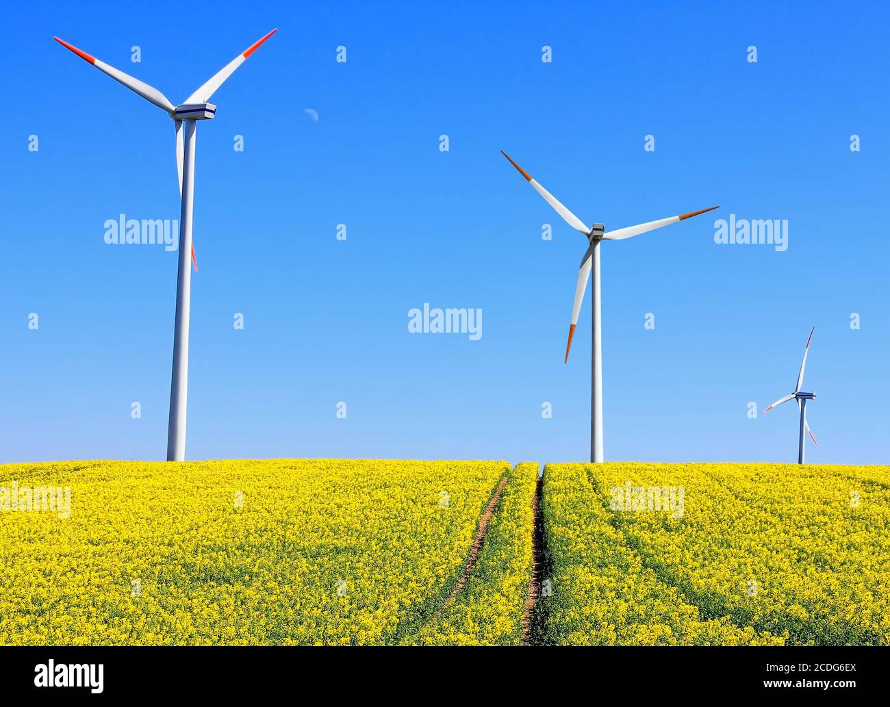 Power in nature hi-res stock photography and images - Alamy