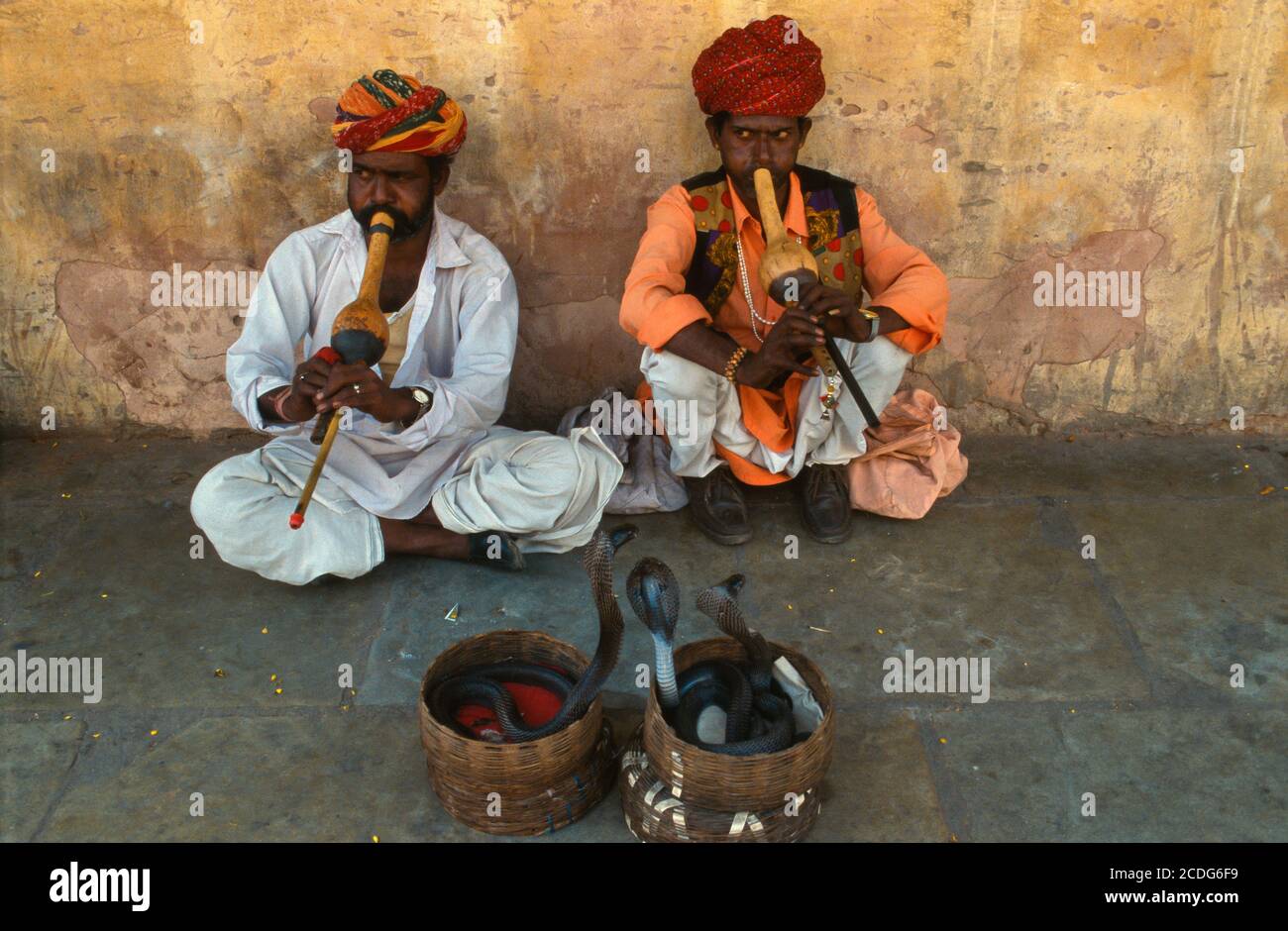 Indian snake charmers, Jaipur, Rajasthan Stock Photo - Alamy