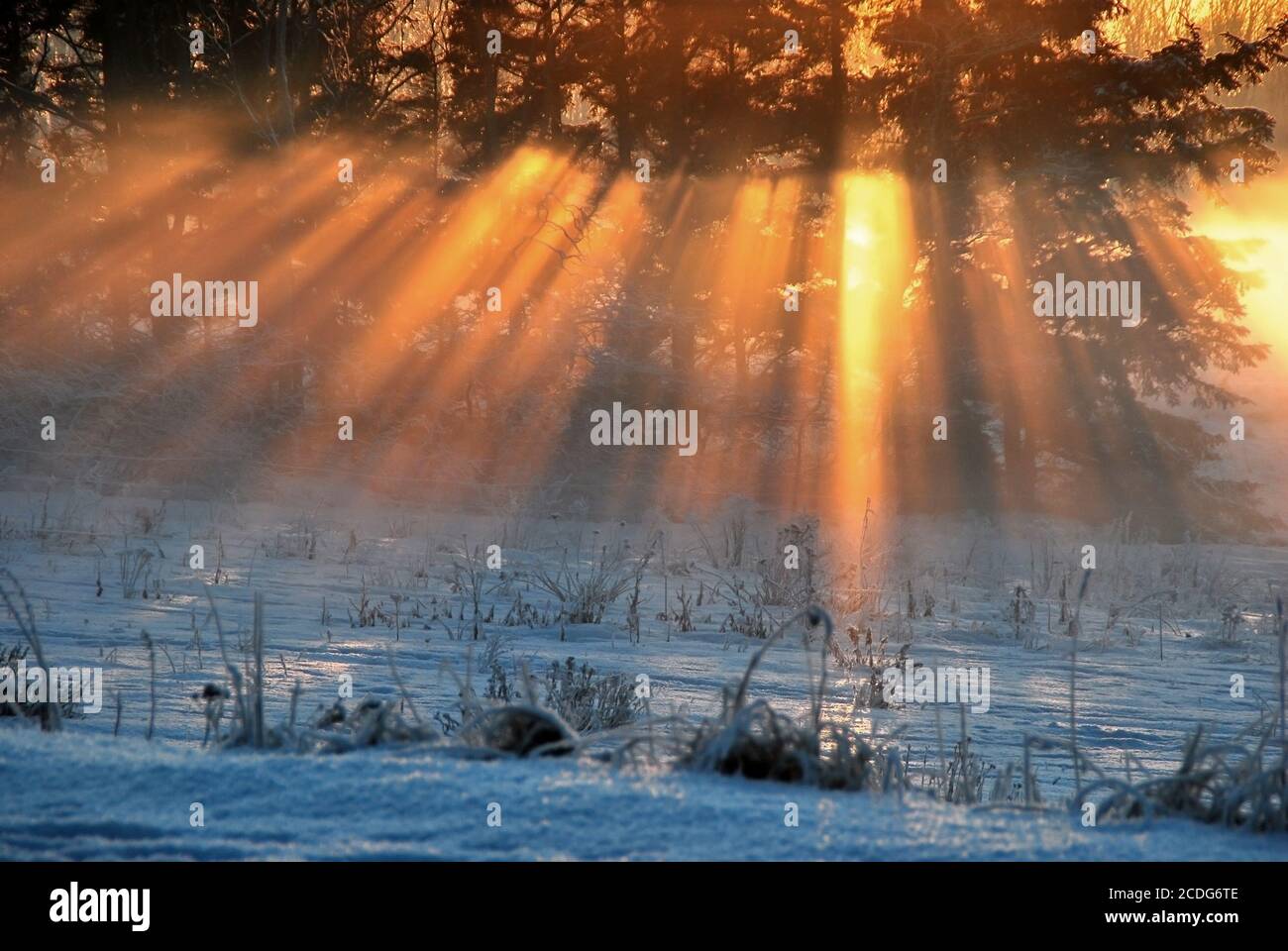 Shiny sunrays hi-res stock photography and images - Alamy