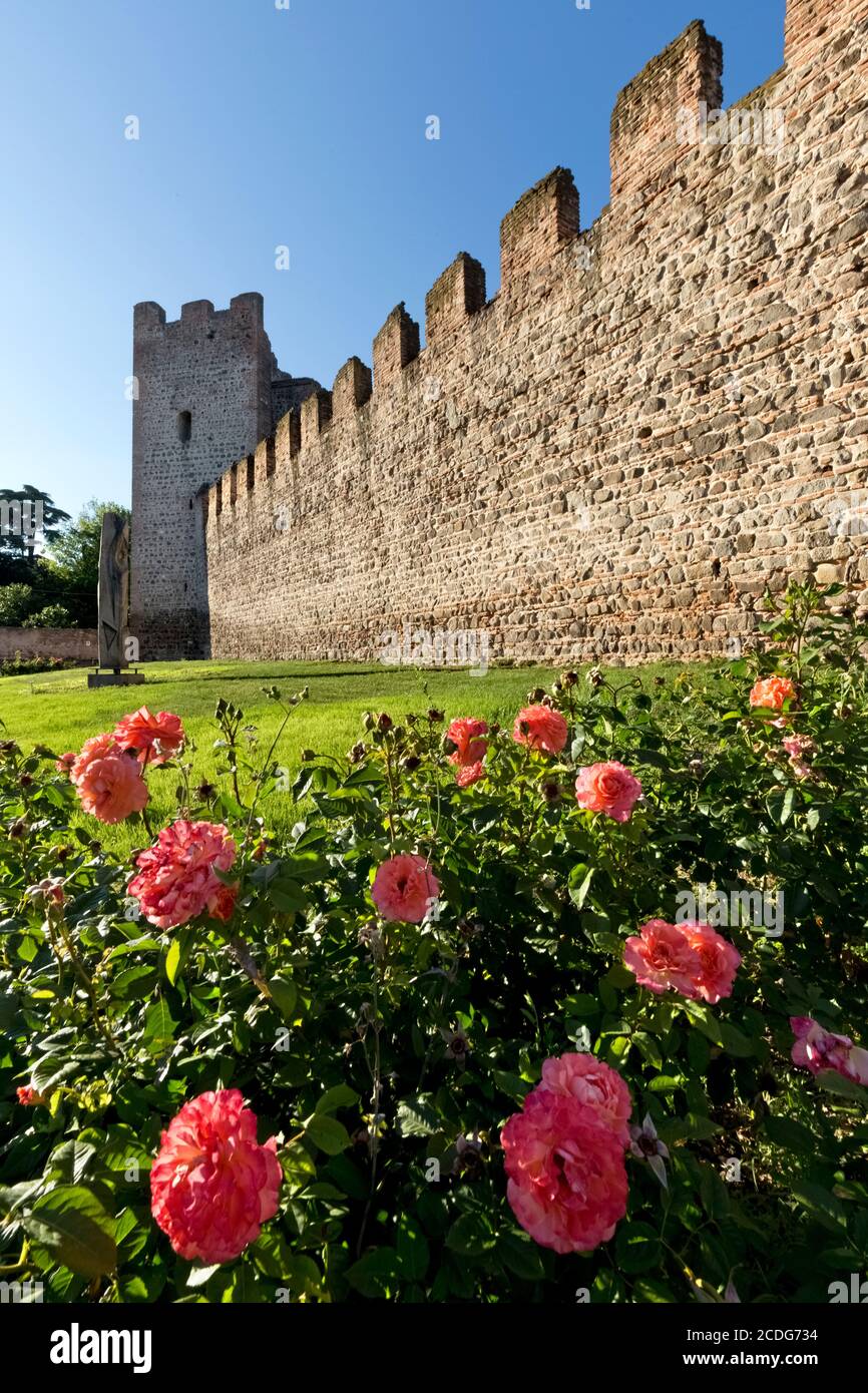 Castello carrarese padova hi-res stock photography and images - Alamy