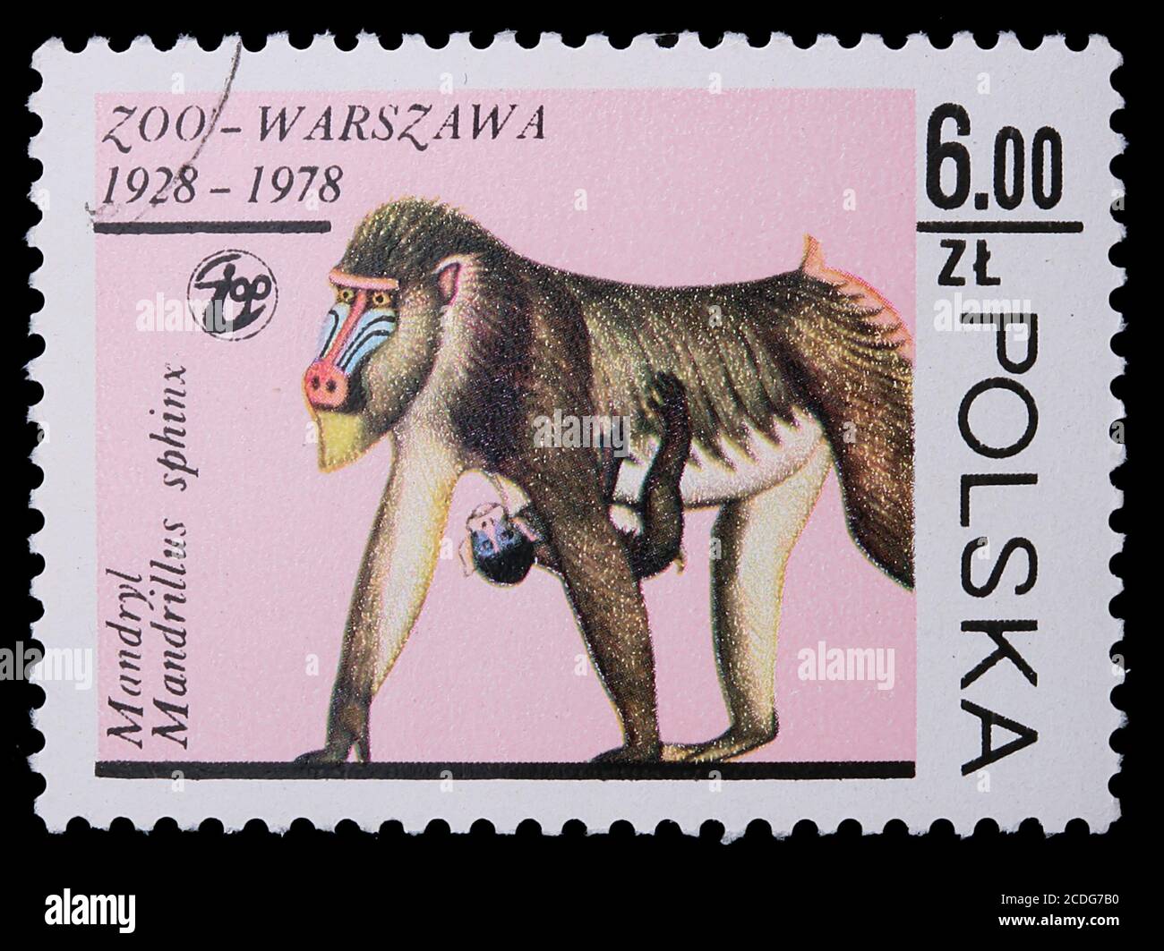 Poland - CIRCA 1978: A stamp - Hamadryad Stock Photo - Alamy