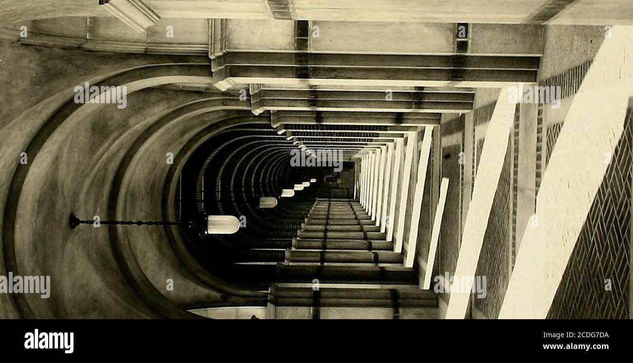 Bookidphysicallabo hi-res stock photography and images - Alamy