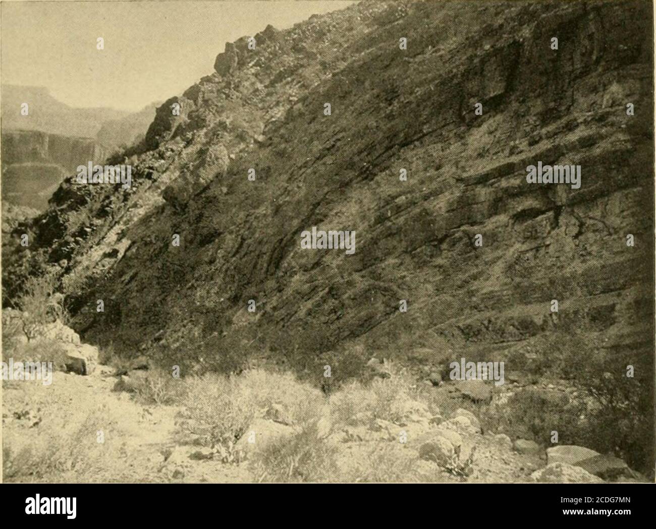 Monoclinal hi-res stock photography and images - Alamy