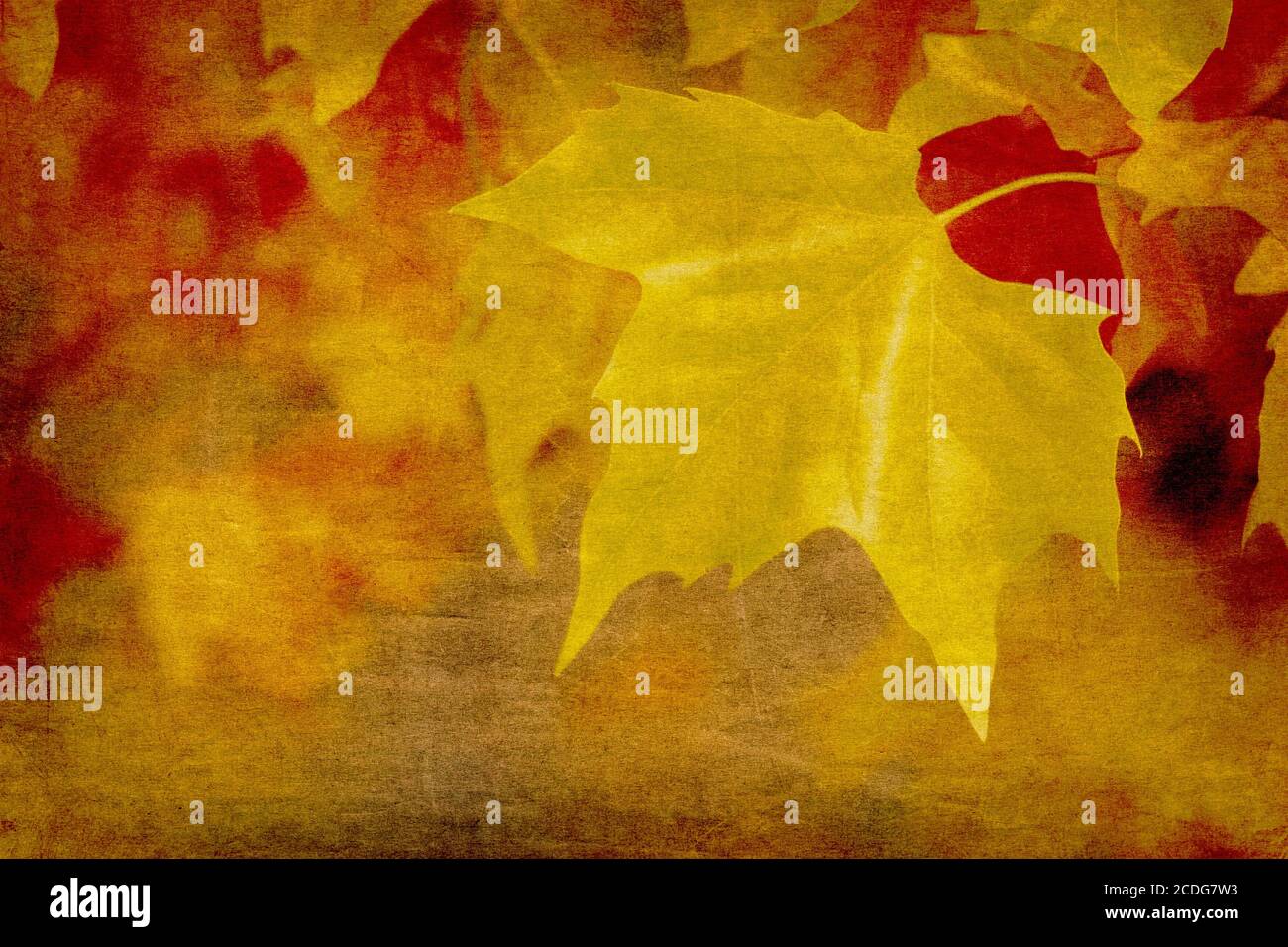 ambient fall leaves background Stock Photo - Alamy