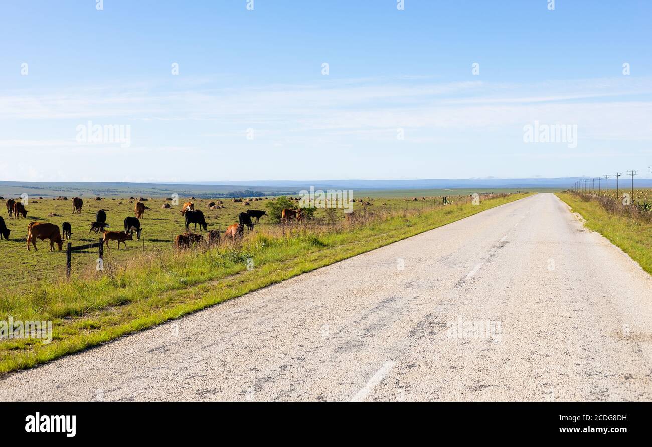View of an empty country highway road in South African Farmland region ...