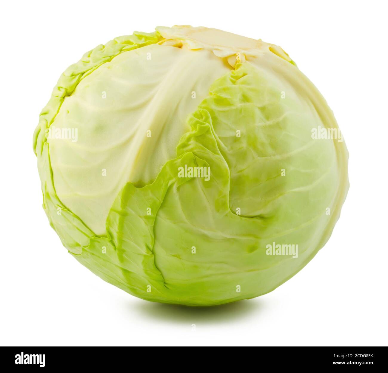 Gabbage hi-res stock photography and images - Alamy