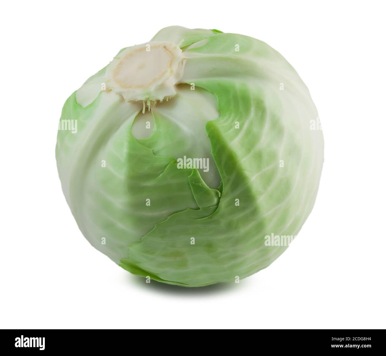 Vibrant cabbage hi-res stock photography and images - Alamy