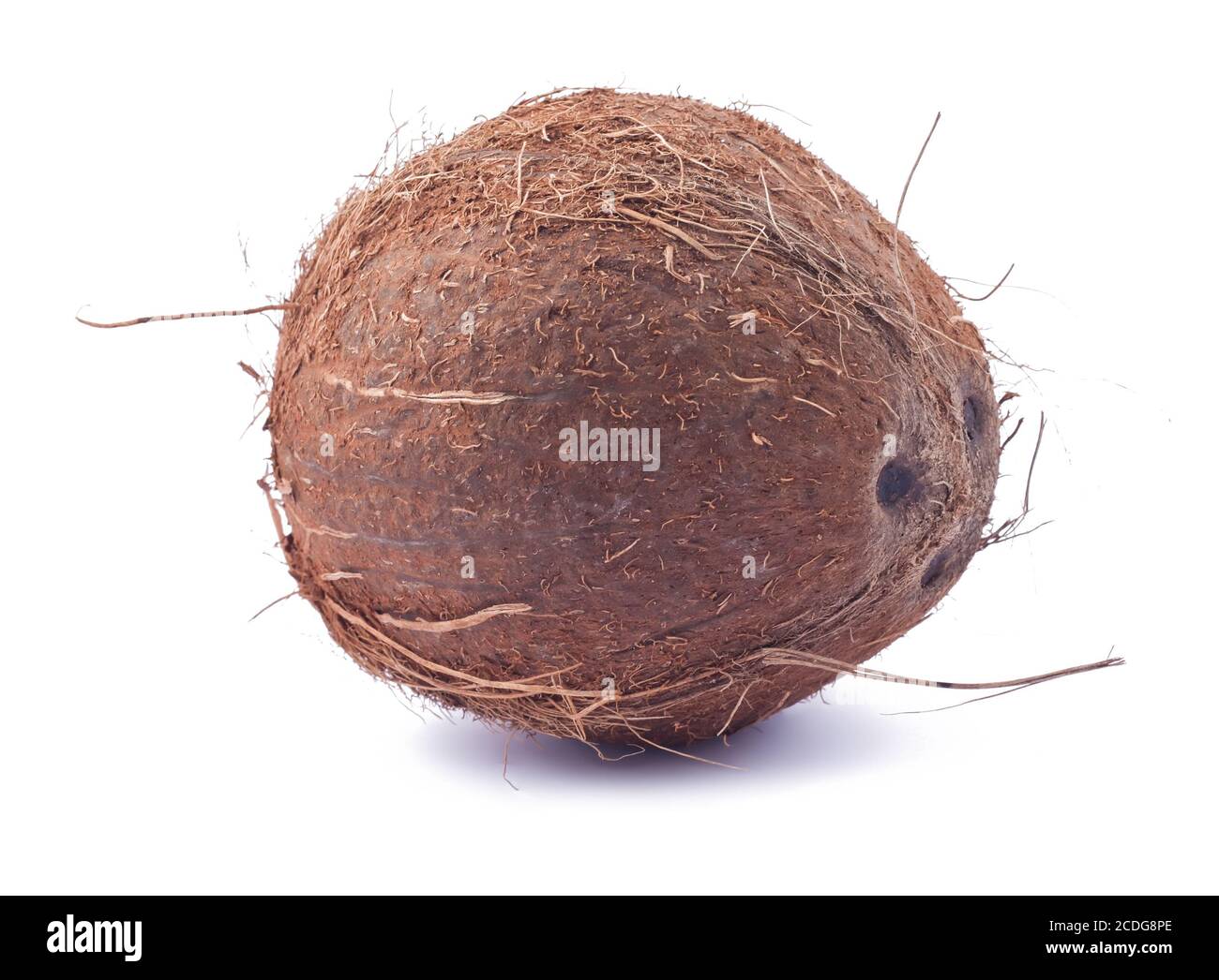 Hairy coconut hi-res stock photography and images - Alamy