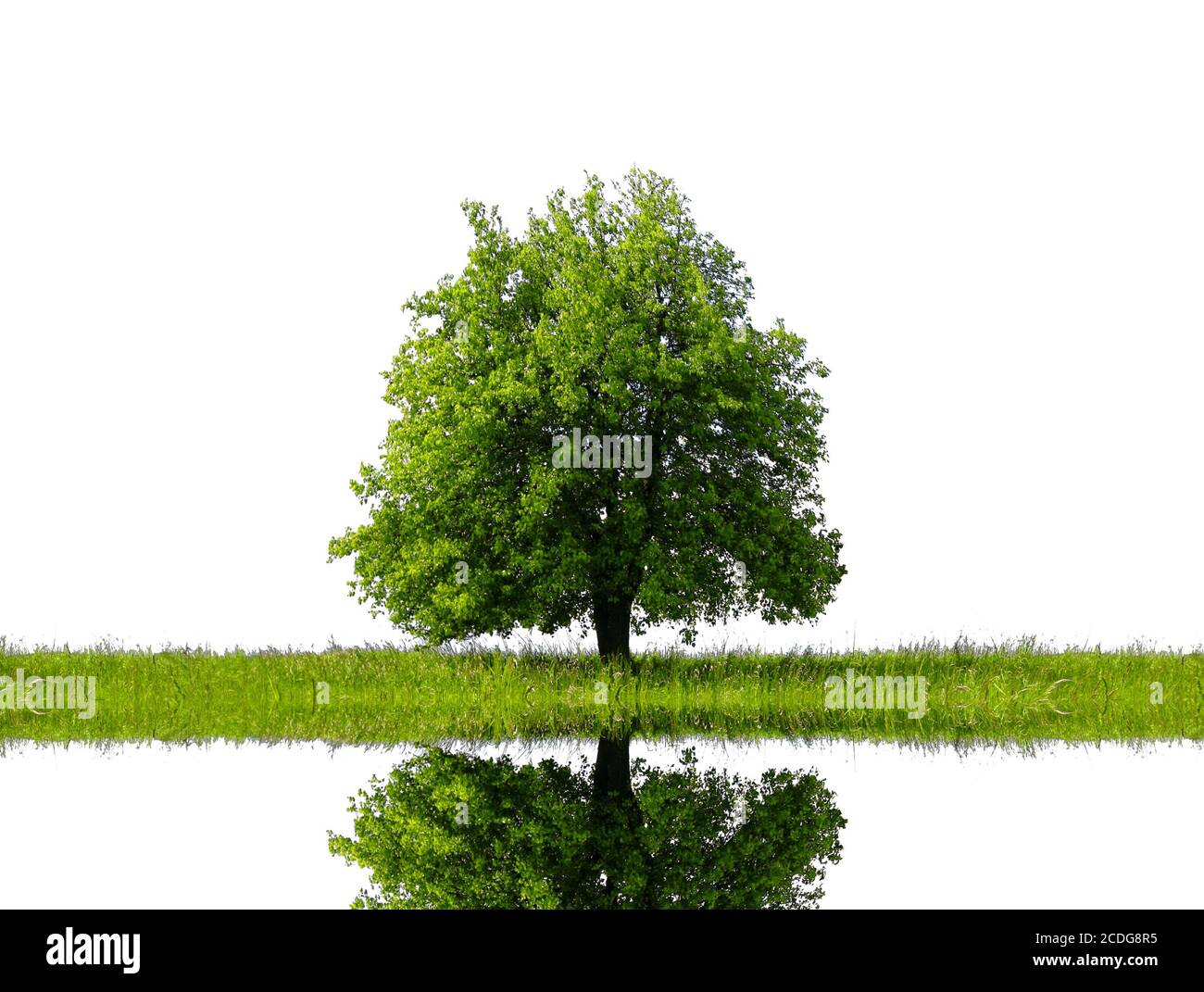 Life on the green hi-res stock photography and images - Alamy