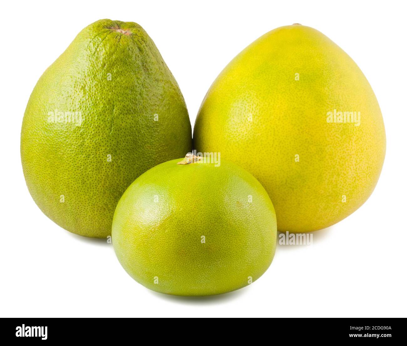 Three ripe pomelos Stock Photo - Alamy
