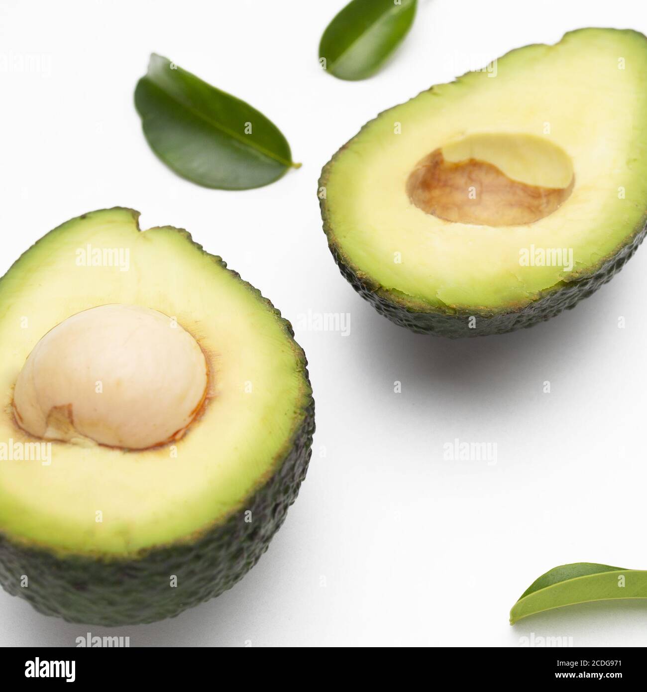 Avocado cut in half isolated on a white background Stock Photo - Alamy