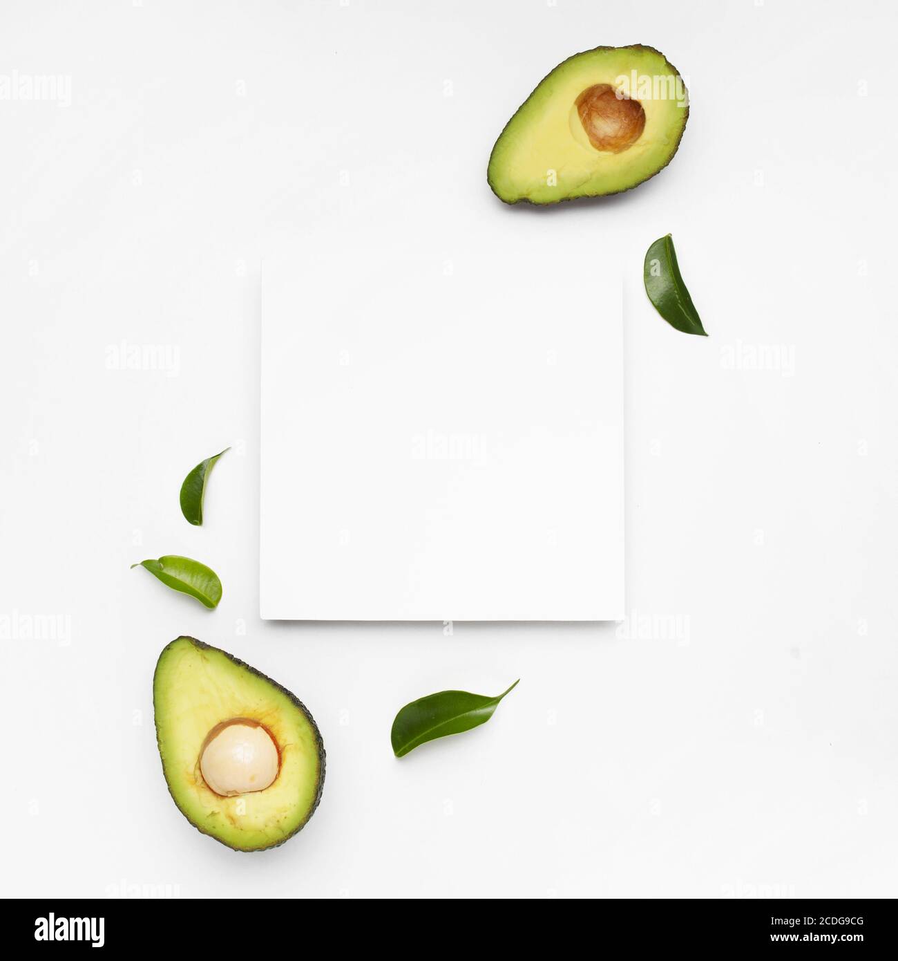Avocado cut in half surrounding a blank piece of paper isolated on a ...