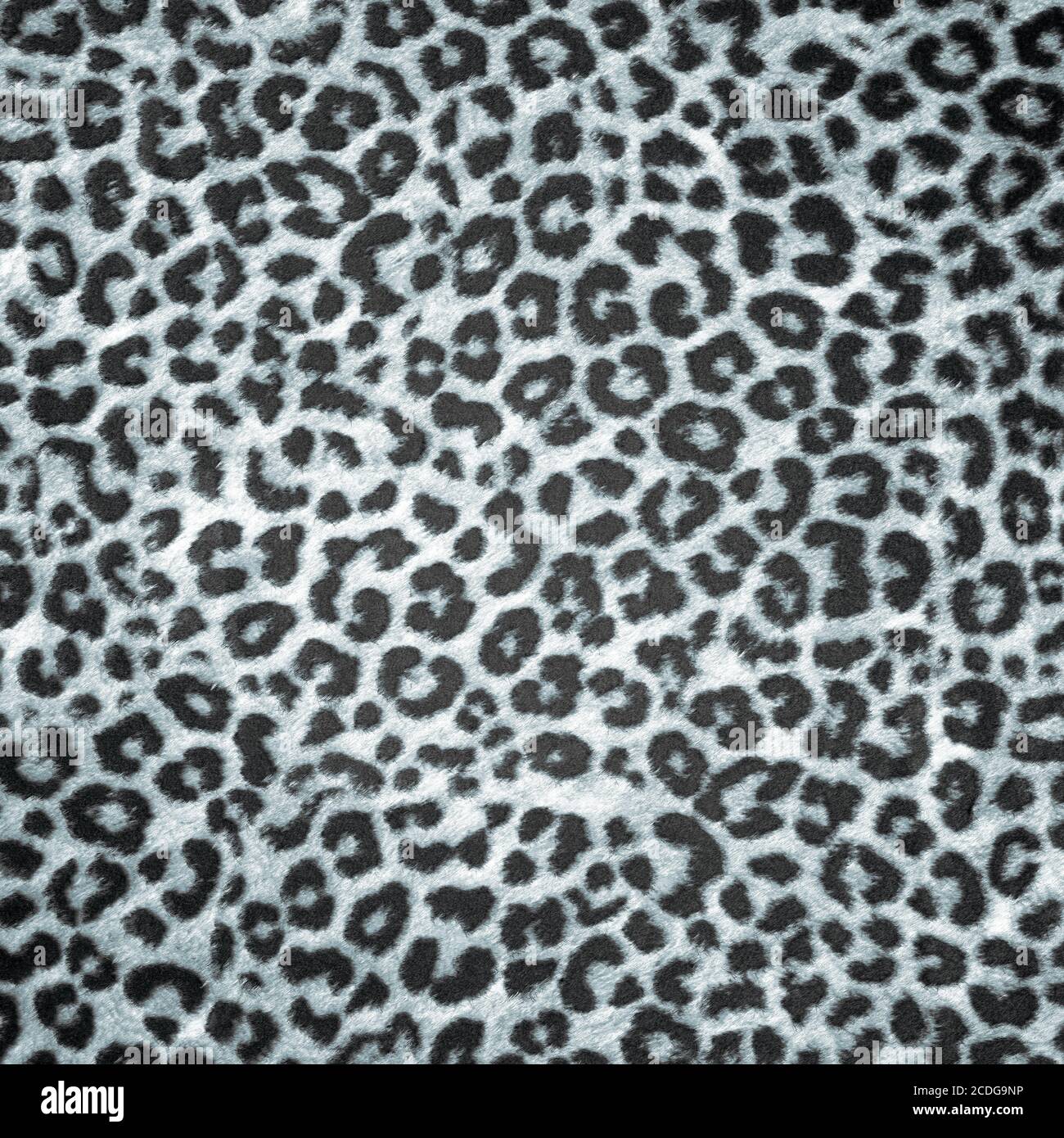 Bw texture hi-res stock photography and images - Alamy