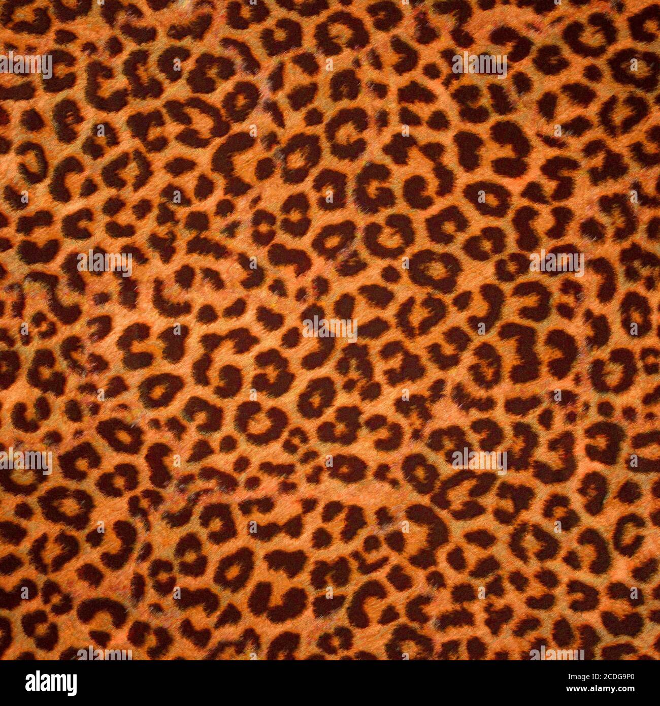Leopard skin texture hi-res stock photography and images - Alamy