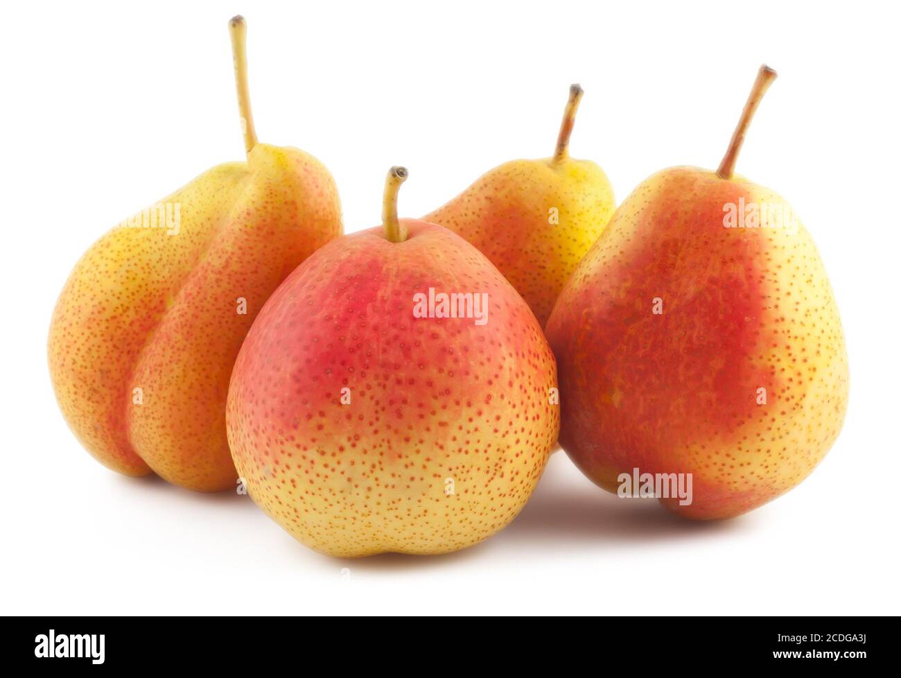Four pears on white background Stock Photo - Alamy