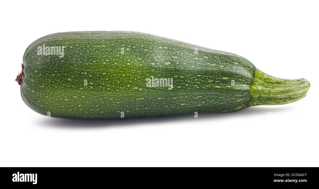 Marrow hi-res stock photography and images - Alamy