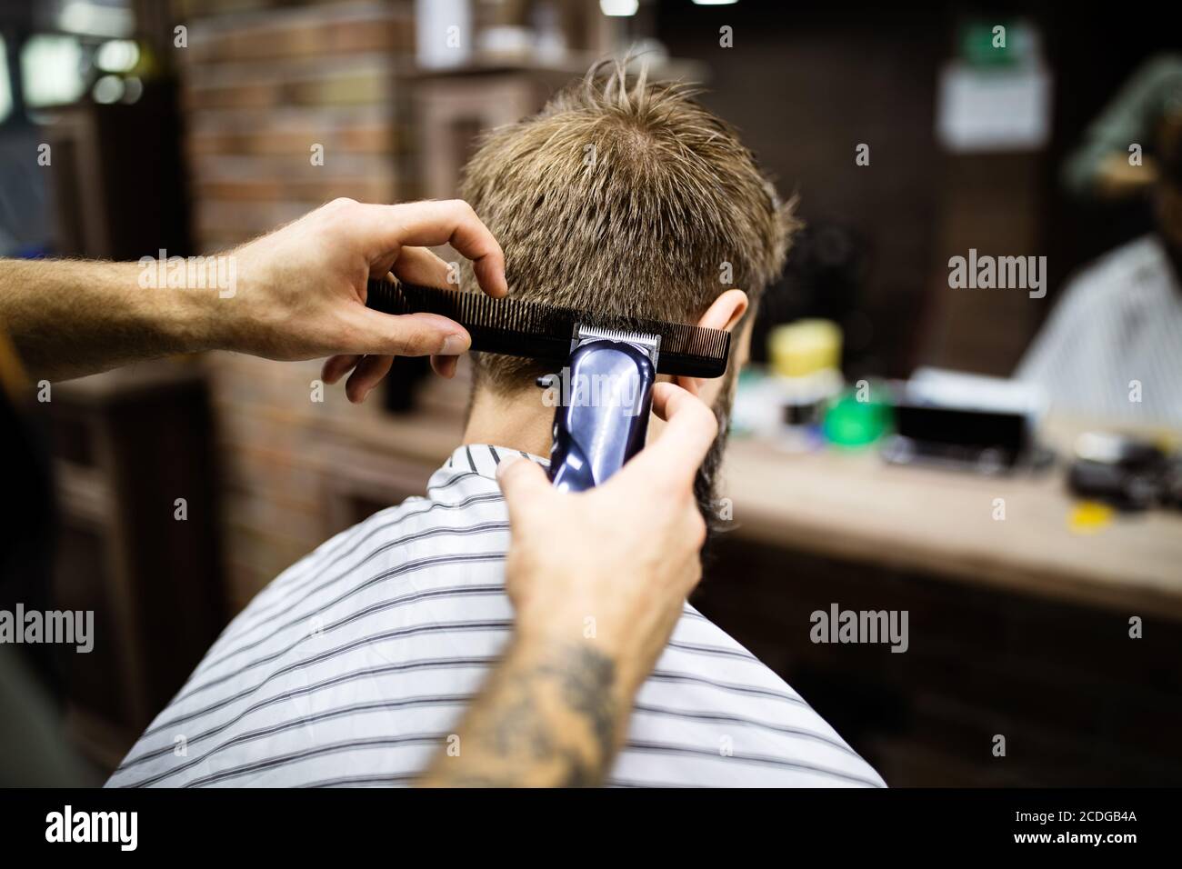 Young bearded man getting haircut by hairdresser while sitting in chair ...