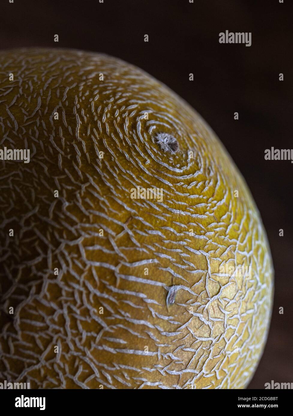 Melon rind hi-res stock photography and images - Alamy