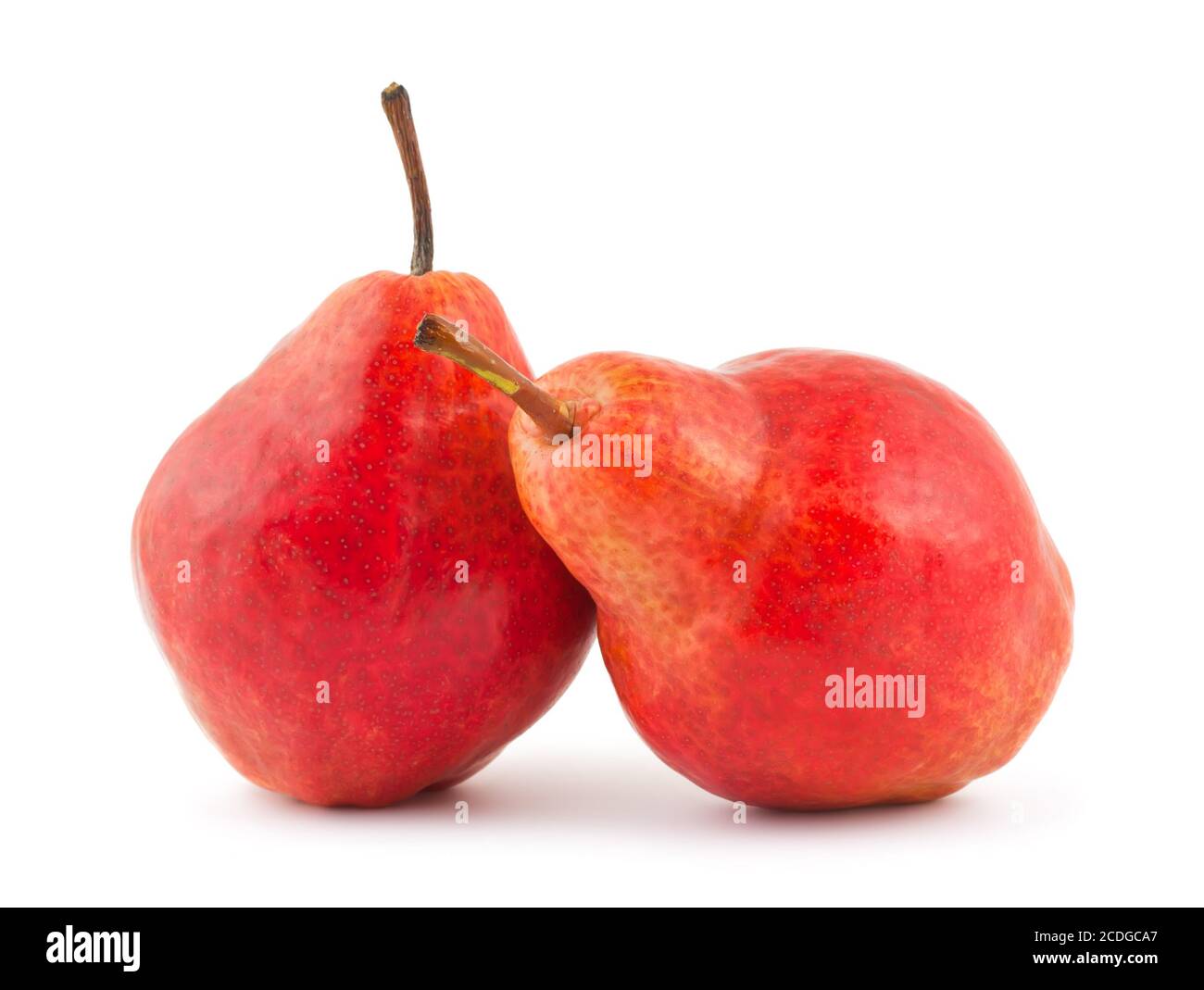 Pears came well hi-res stock photography and images - Alamy