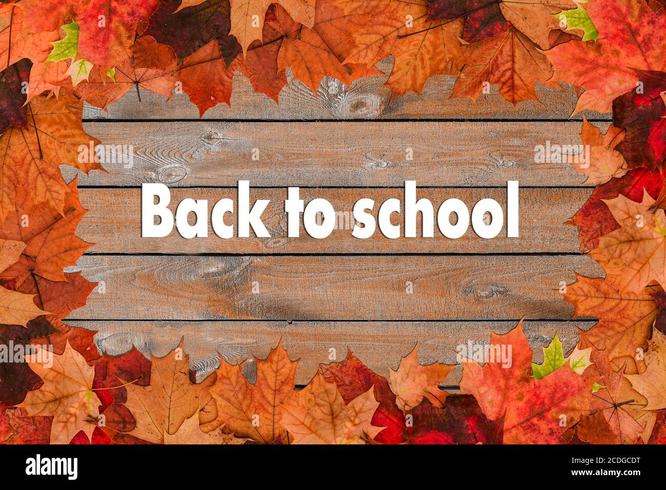 School leaves hi-res stock photography and images - Alamy