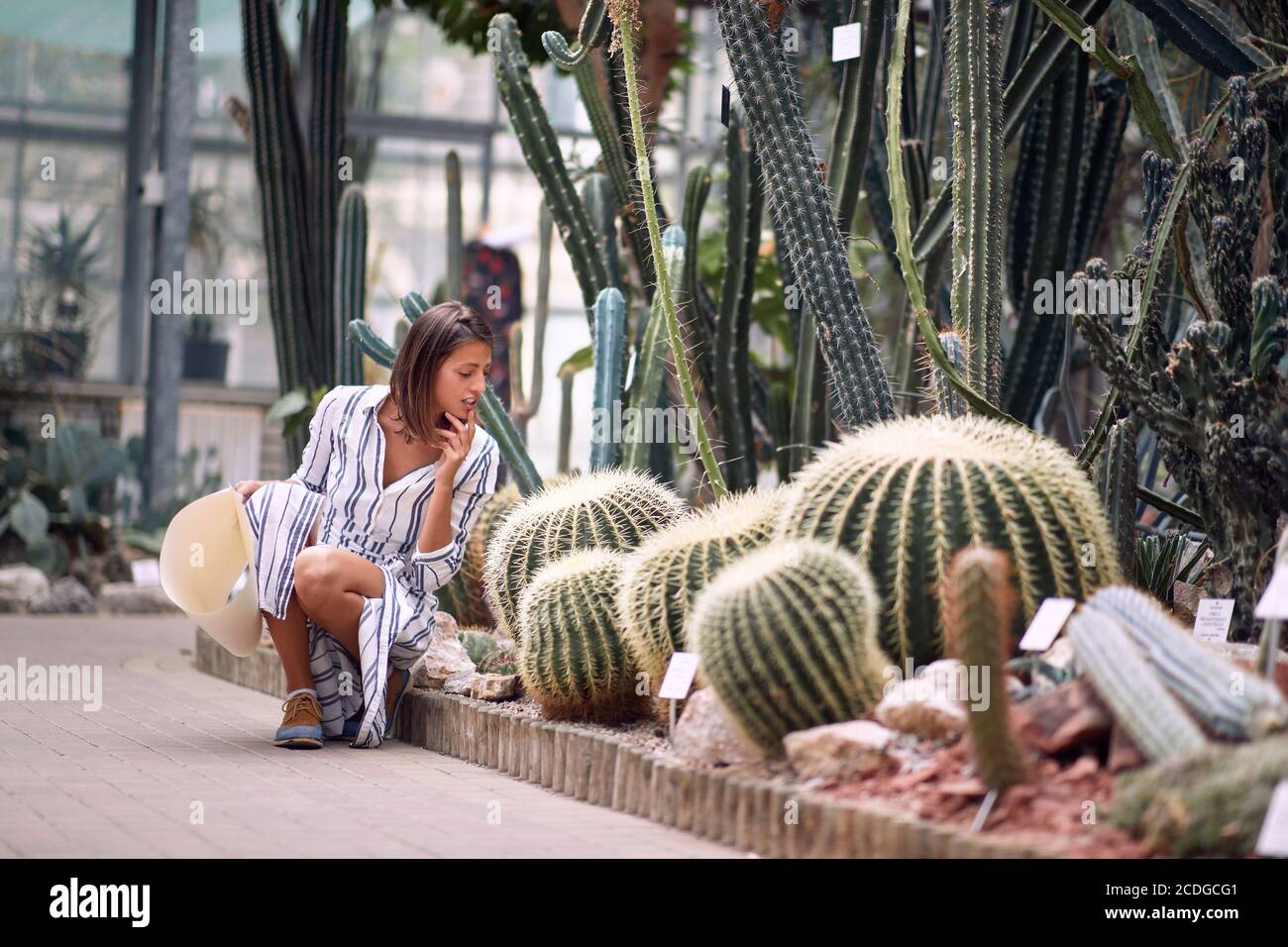 Designer young woman choose cactus in eco garden for new client Stock ...