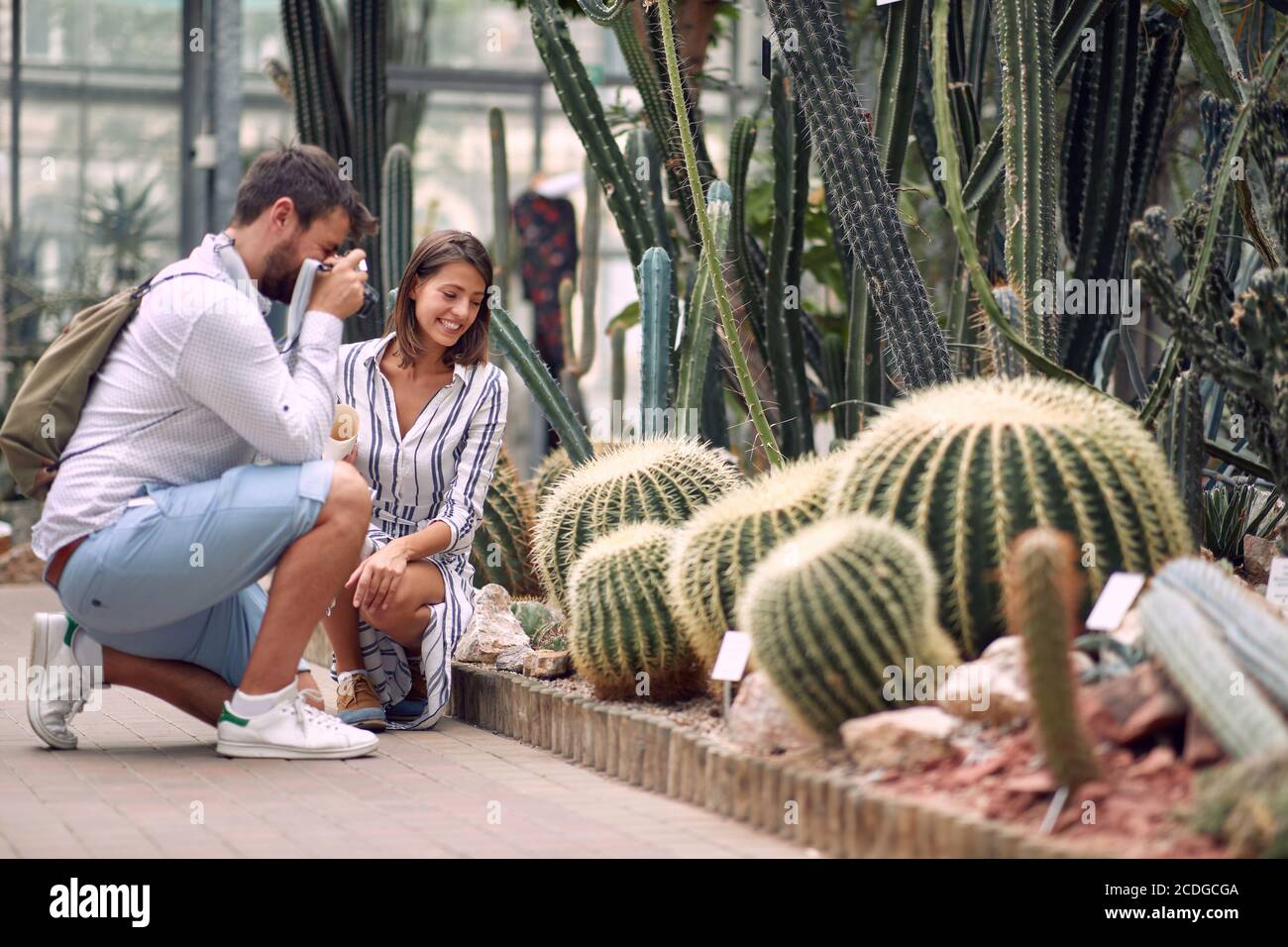 Designer young man picture of cactus eco garden for new client Stock ...