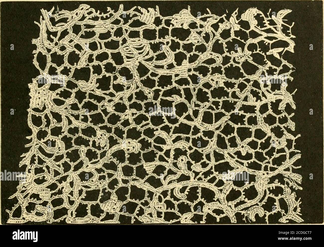 Mr ruffles hi-res stock photography and images - Alamy