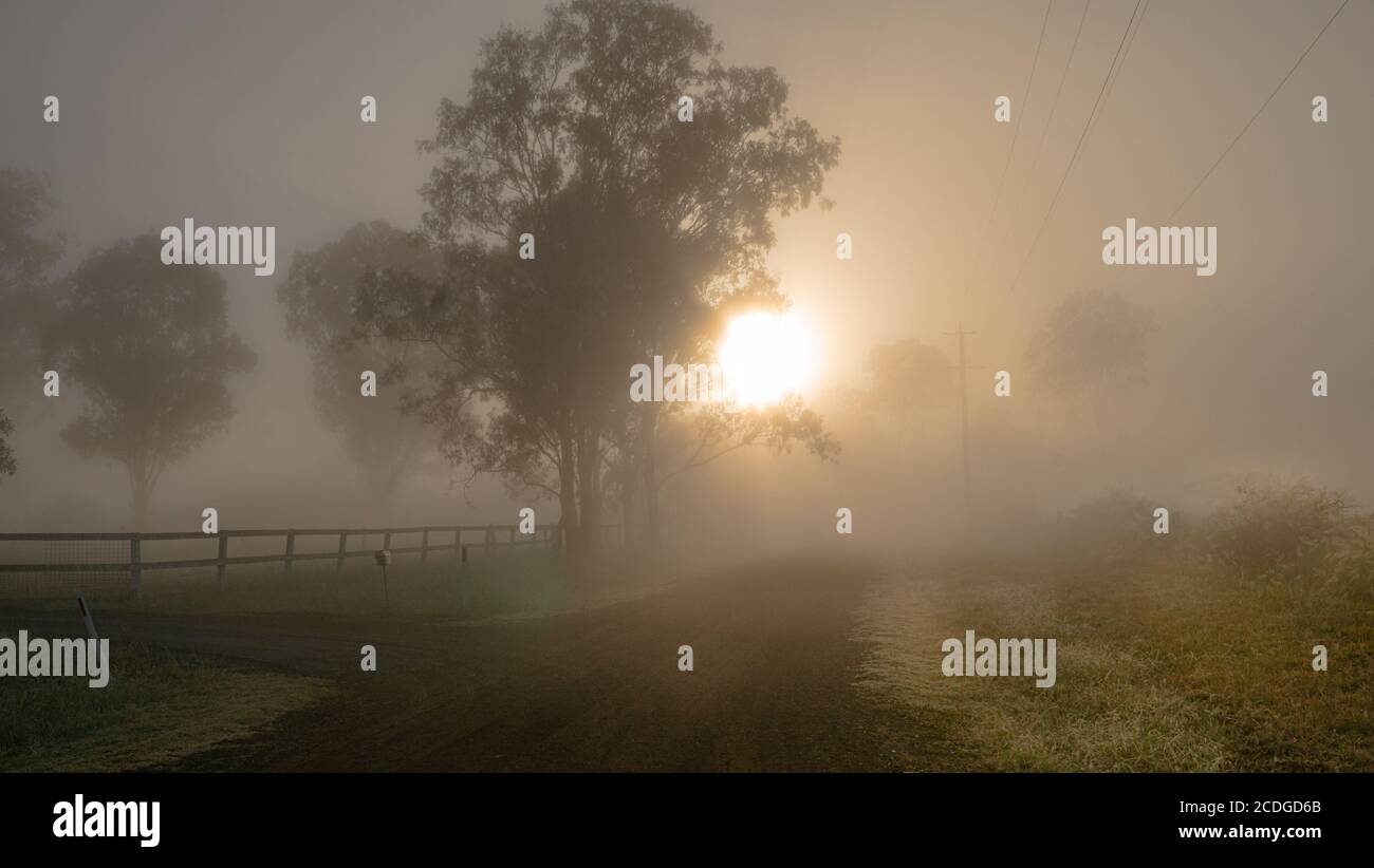 Tree stump foggy mountains hi-res stock photography and images - Alamy