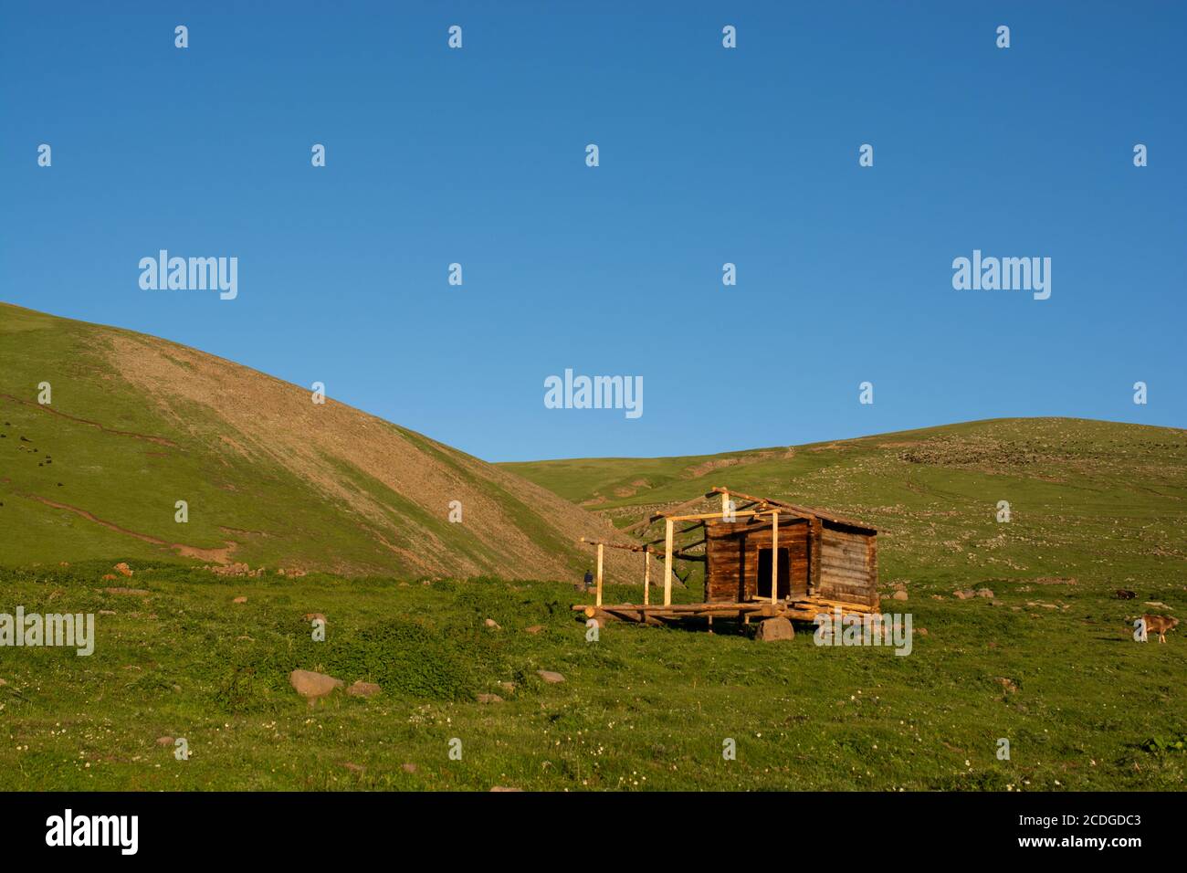 Little hut for shelter made in simple style in view Stock Photo - Alamy