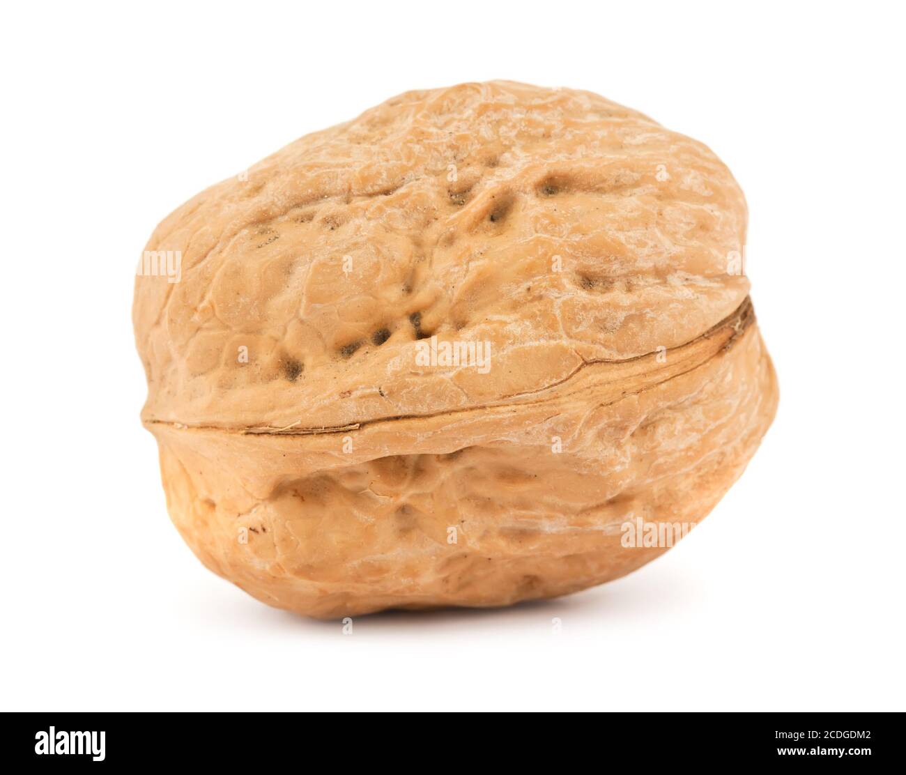 Walnut colour hi-res stock photography and images - Alamy