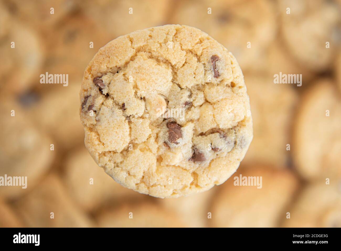 Homemade Choc Chip Cookies Stock Photo - Alamy