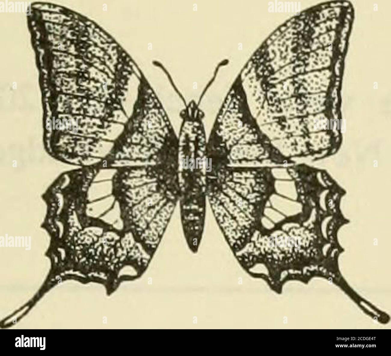 Frederick sole hi-res stock photography and images - Alamy