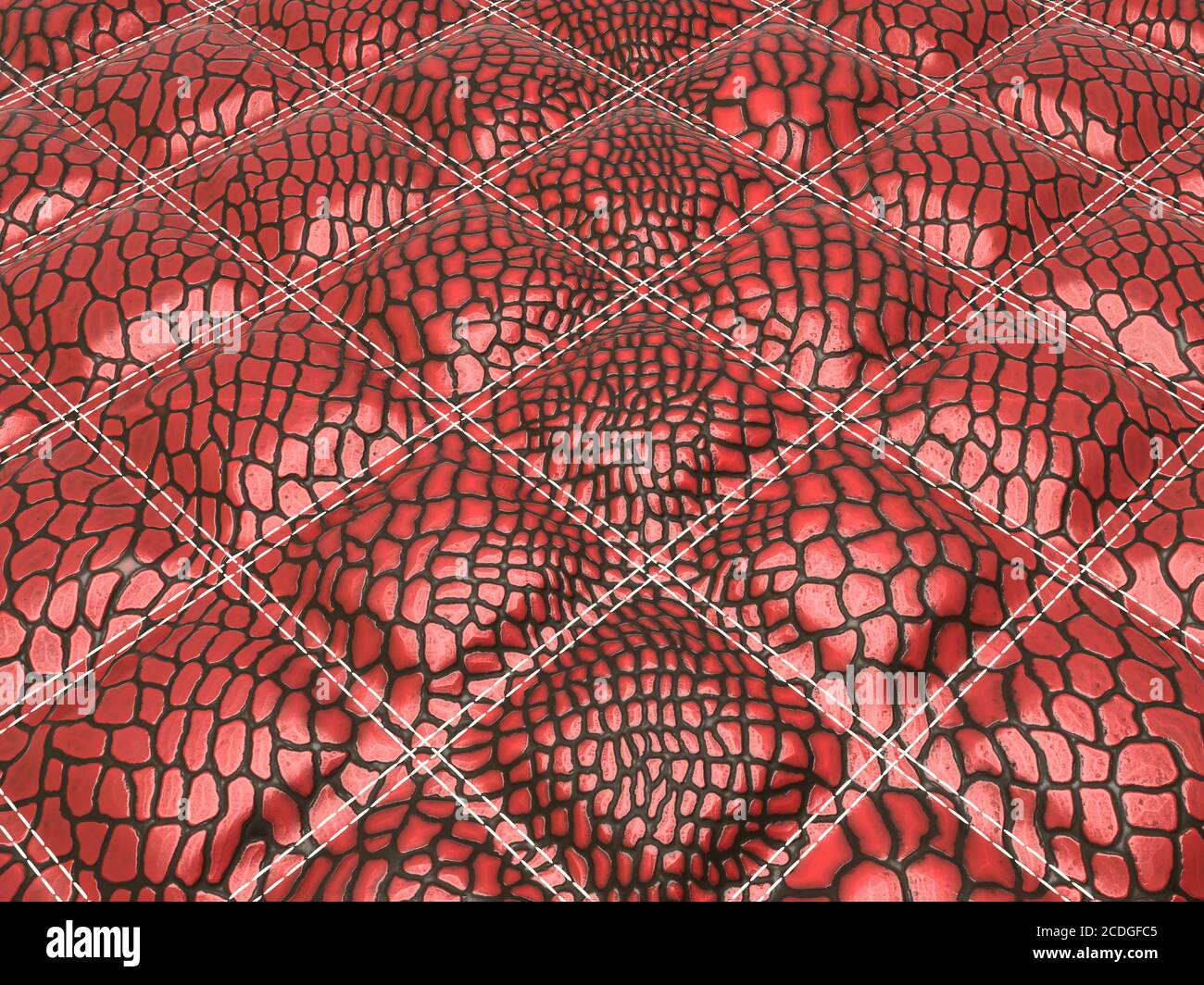 Sewing pattern alligator hi-res stock photography and images - Alamy