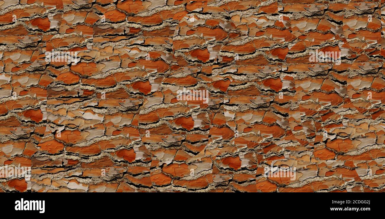 aged wall tree texture wooden surface hardwood grunge Stock Photo - Alamy
