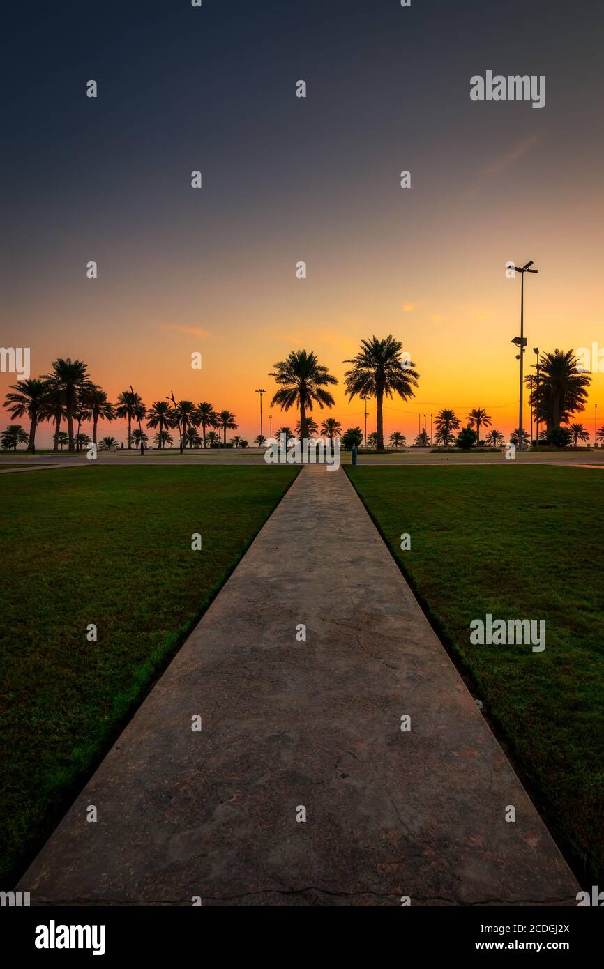 Wonderful Morning view in Al khobar park - City : Khobar, Saudi Arabia ...
