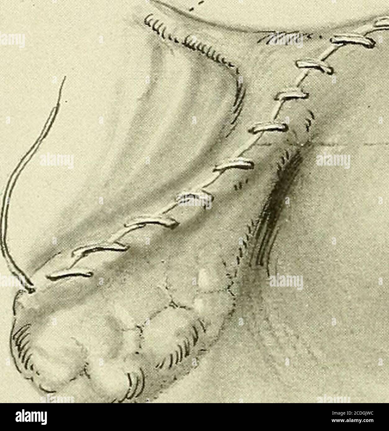 Continuous knots hi-res stock photography and images - Alamy