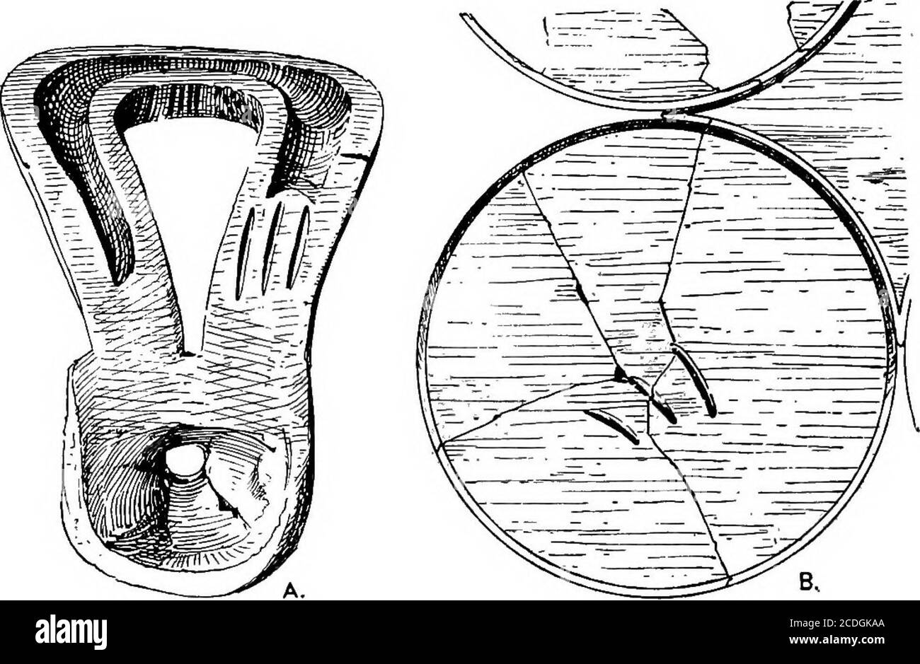 Sacral knot hi-res stock photography and images - Alamy
