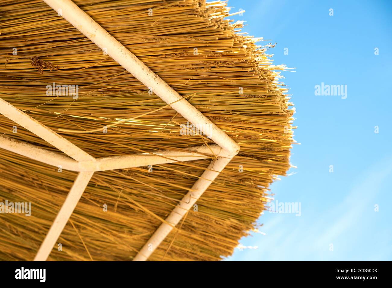 Close up detail of yellow straw roof against blue sky Stock Photo - Alamy