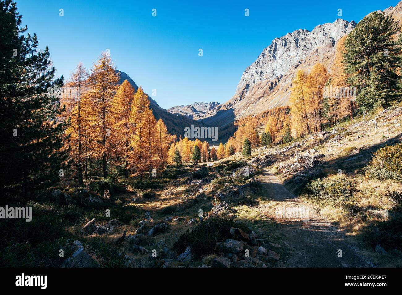 Engadina hi-res stock photography and images - Alamy